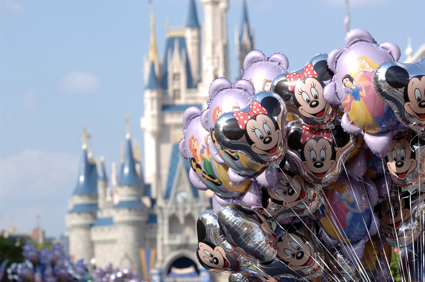 Disney Family – Sonhotur